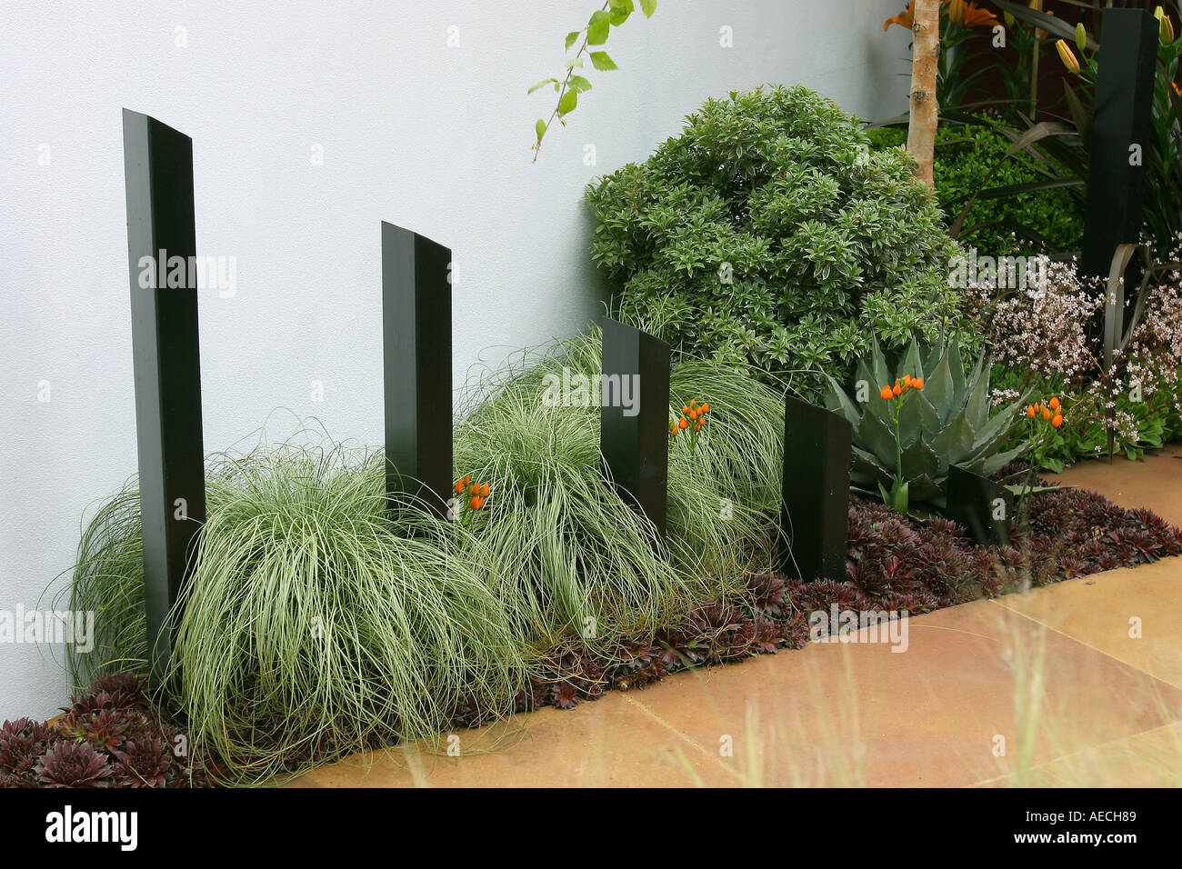 ROOM TO BE FREE DESIGNER DAVID MACQUEEN CHELSEA FLOWER SHOW 2005 Stock ...