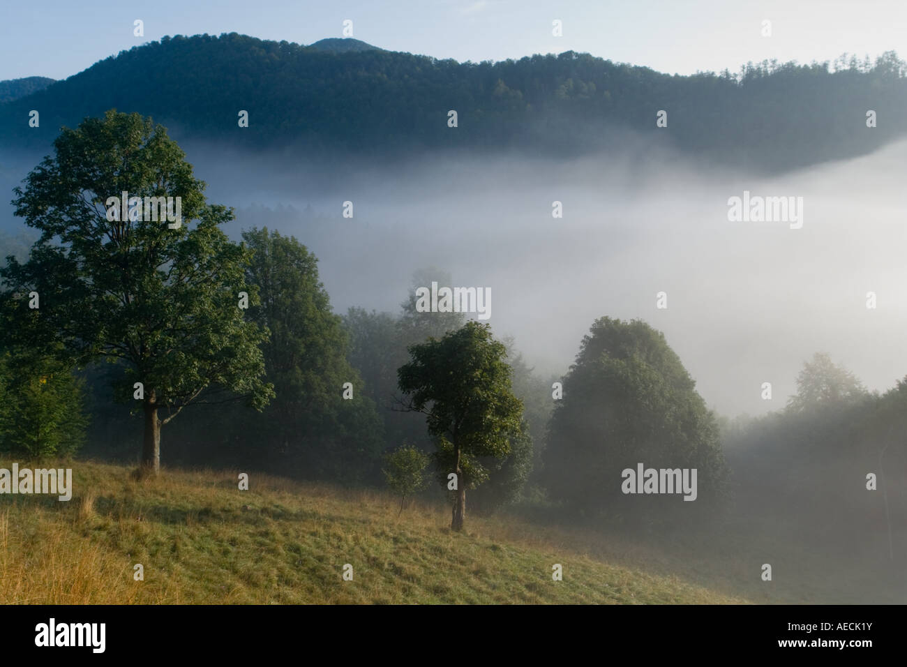 Low fog in mountains Stock Photo - Alamy