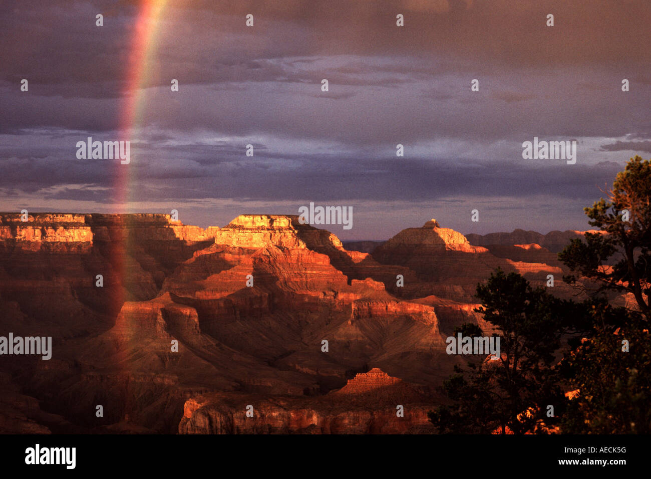 Rainbow colorado rainbows hi-res stock photography and images - Alamy