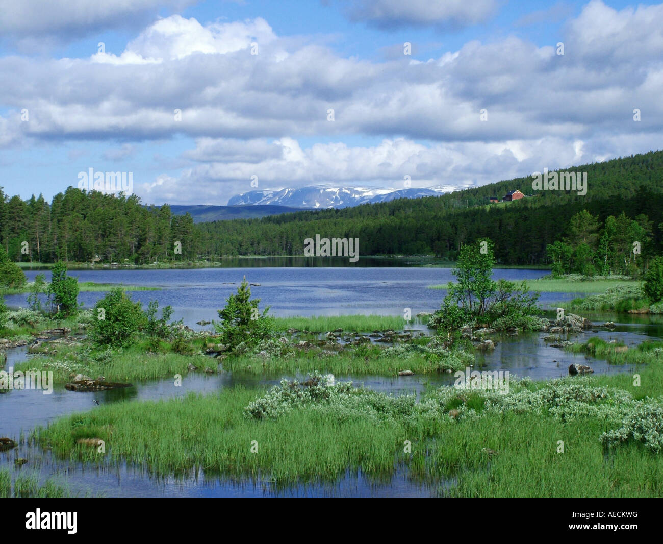 river scenery of Hardangervidda, Norway Stock Photo - Alamy