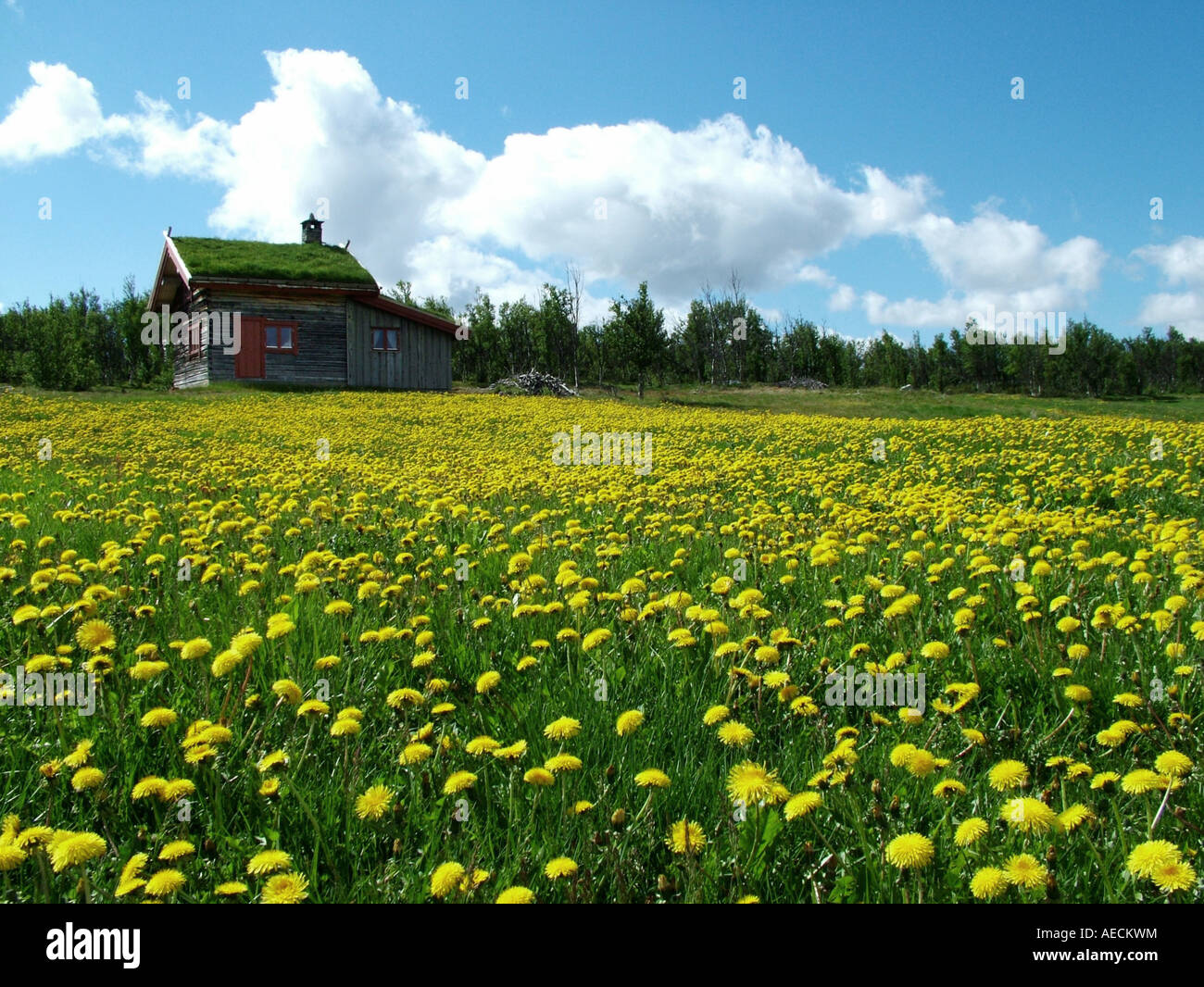 Small wooden huts with grass roof hi-res stock photography and images ...