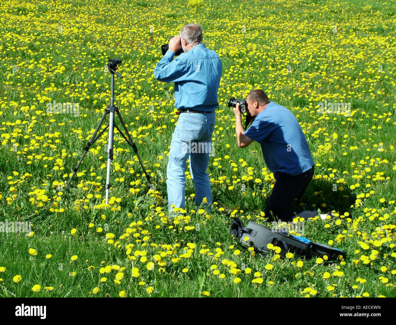 Photographers at work Stock Photo - Alamy