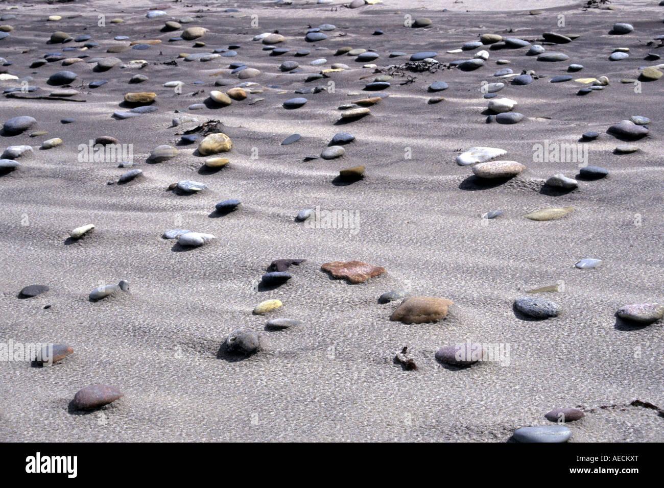 beach with pebbles Stock Photo - Alamy