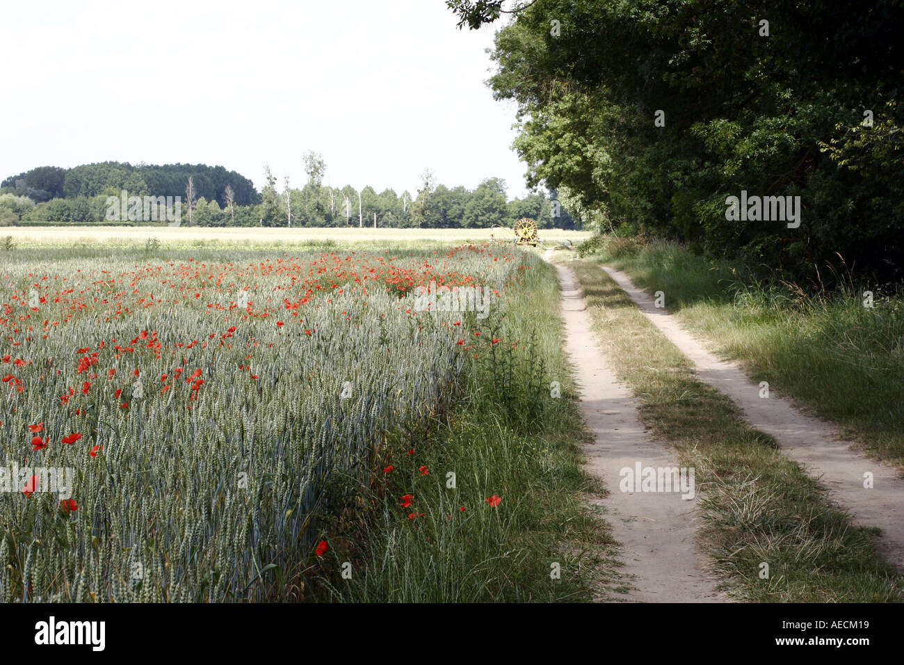 Grande randonnee french hi-res stock photography and images - Alamy
