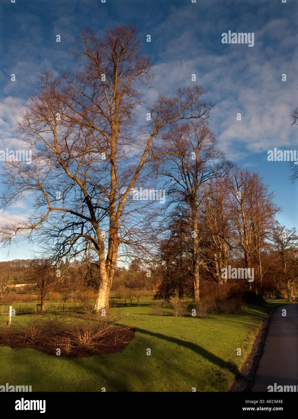 Autumn scene in the grounds of Powderham Castle Kenton Devon Stock ...