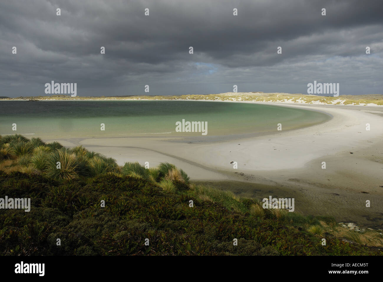 landscape, United Kingdom, Falkland Island Stock Photo - Alamy