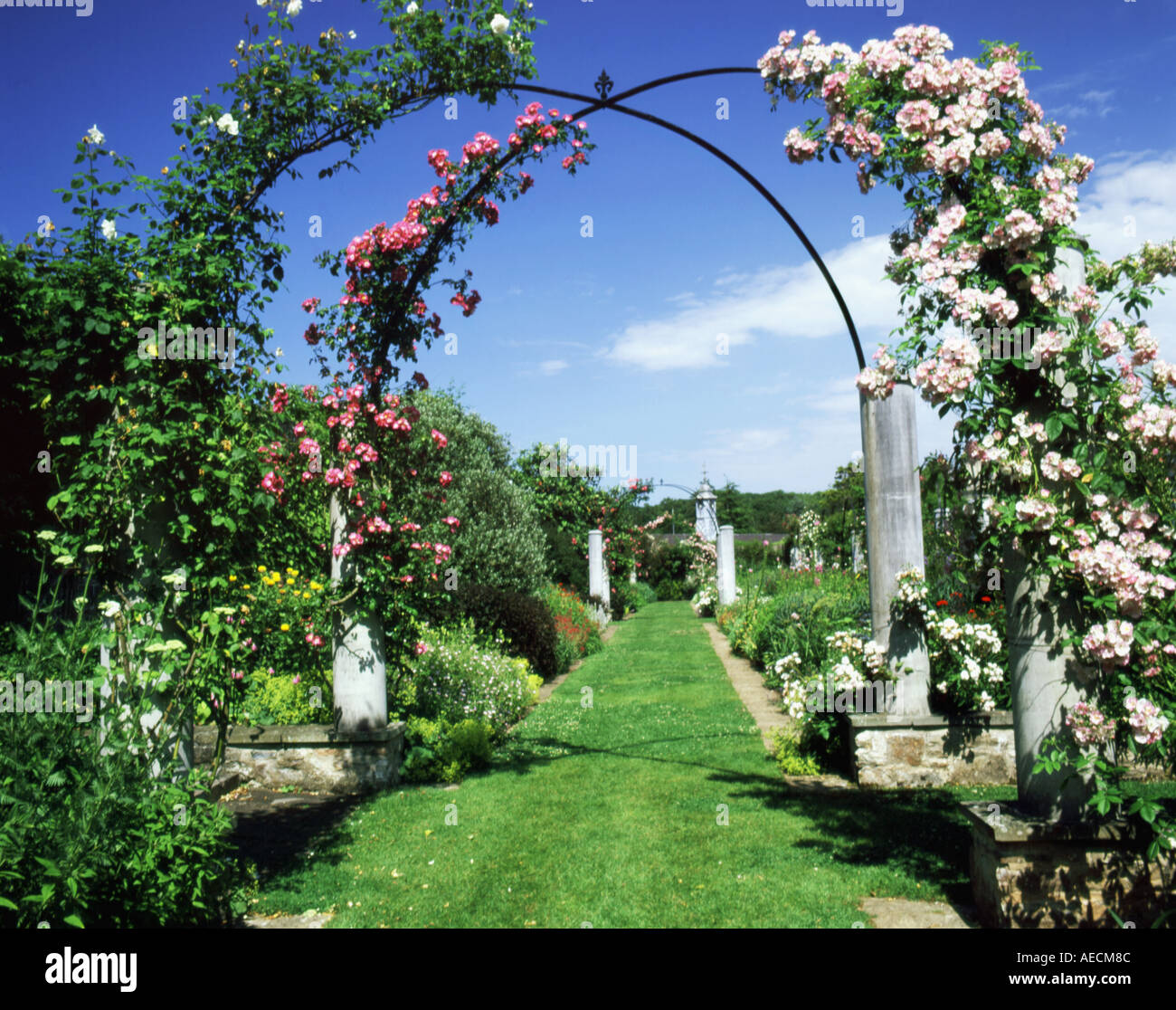herbaceous border and climbing roses dyffryn gardens st nicholas vale ...