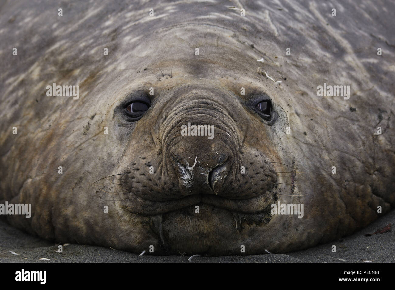 Section 1 of southern part of hi-res stock photography and images - Alamy