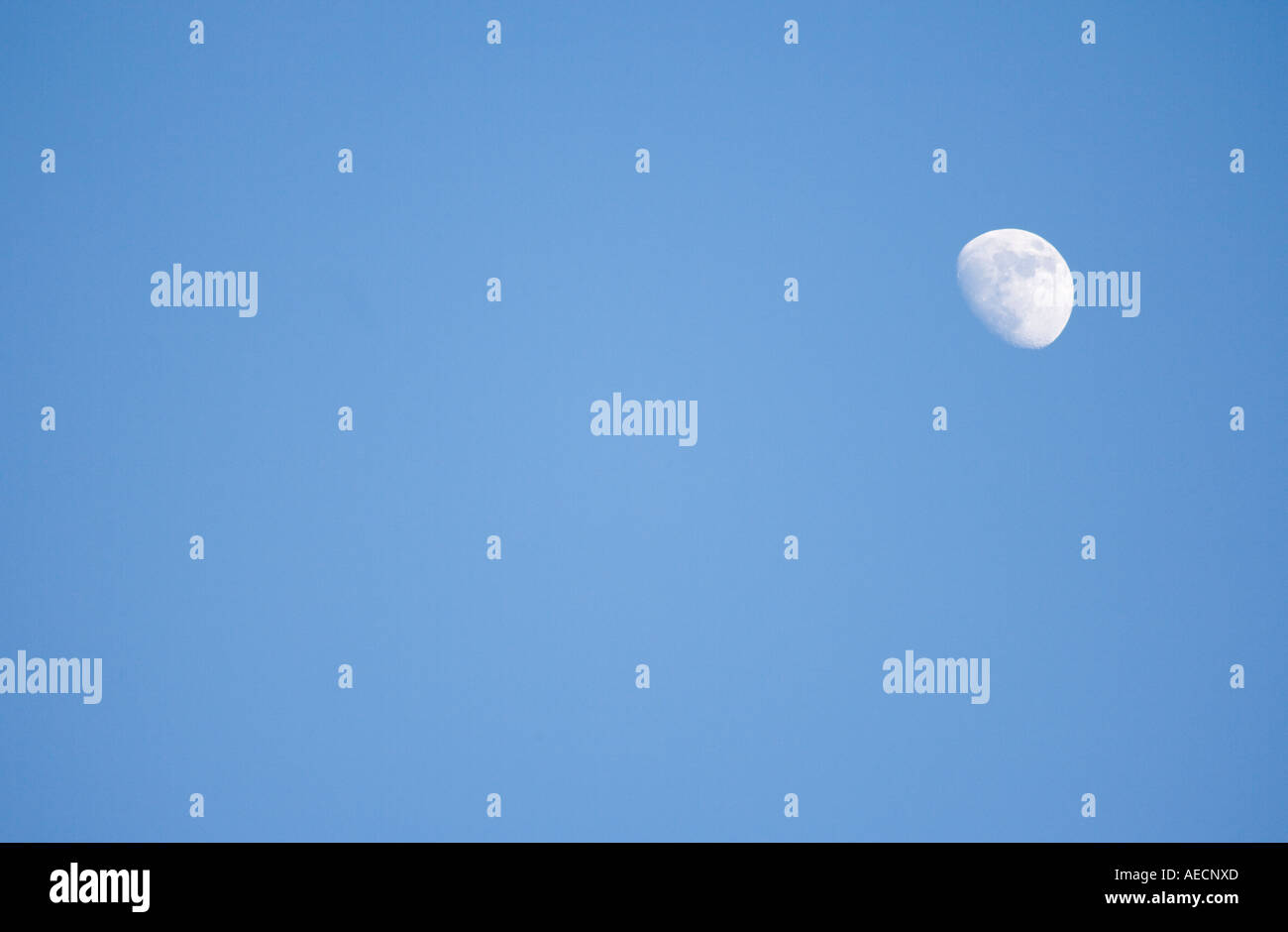 Half moon in the sky Stock Photo - Alamy