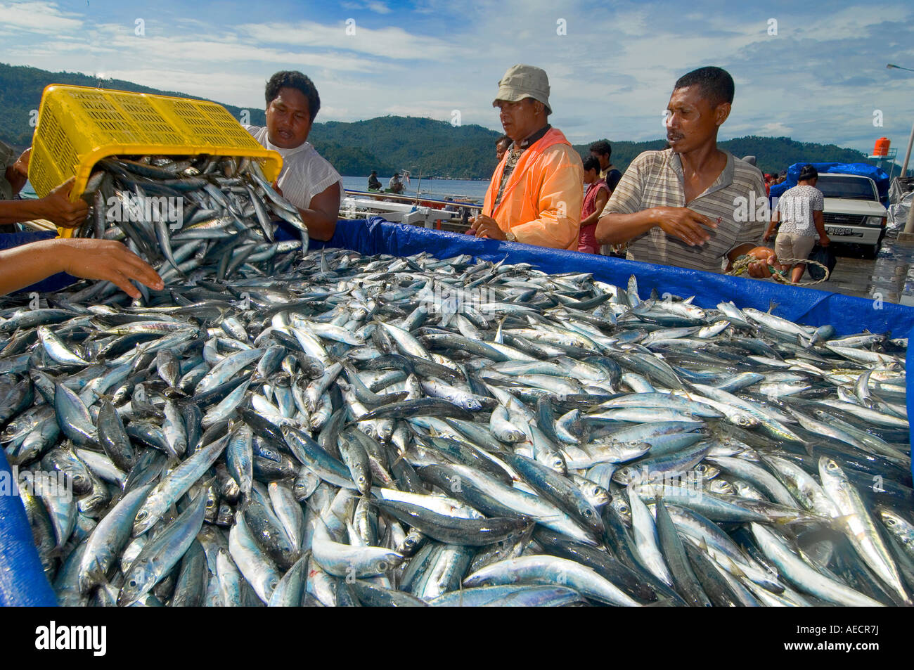 Bitung port hi-res stock photography and images - Alamy