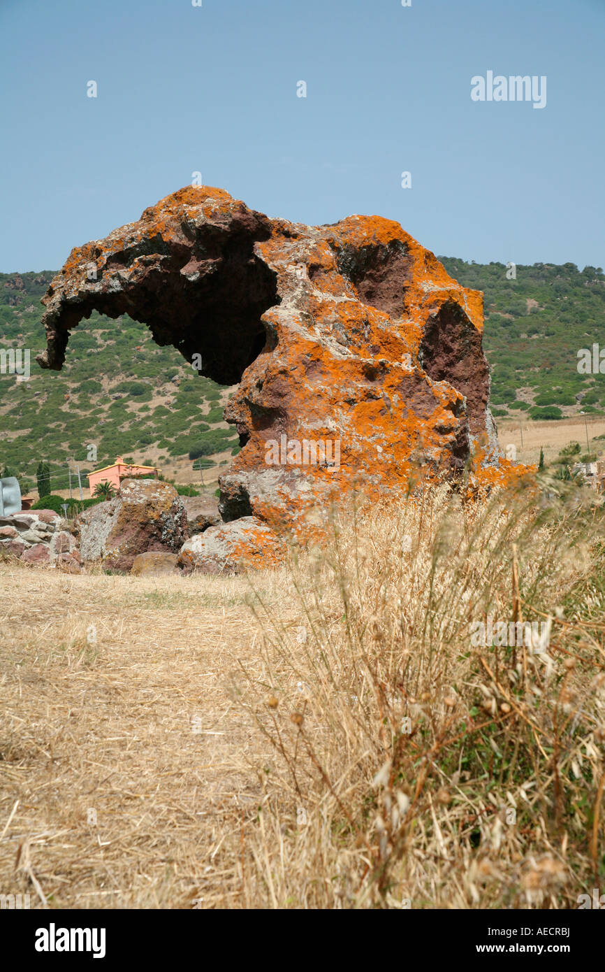 Elephant shaped rock hi-res stock photography and images - Alamy