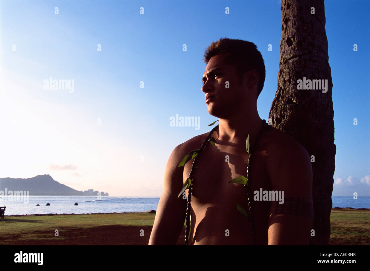 Diamond dallas hi-res stock photography and images - Alamy