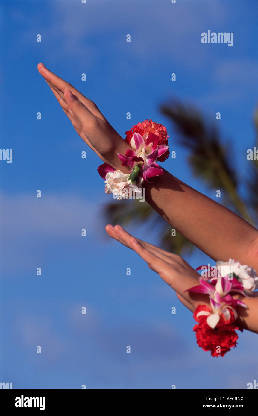 Oahu hawaii hula dancing hi-res stock photography and images - Alamy