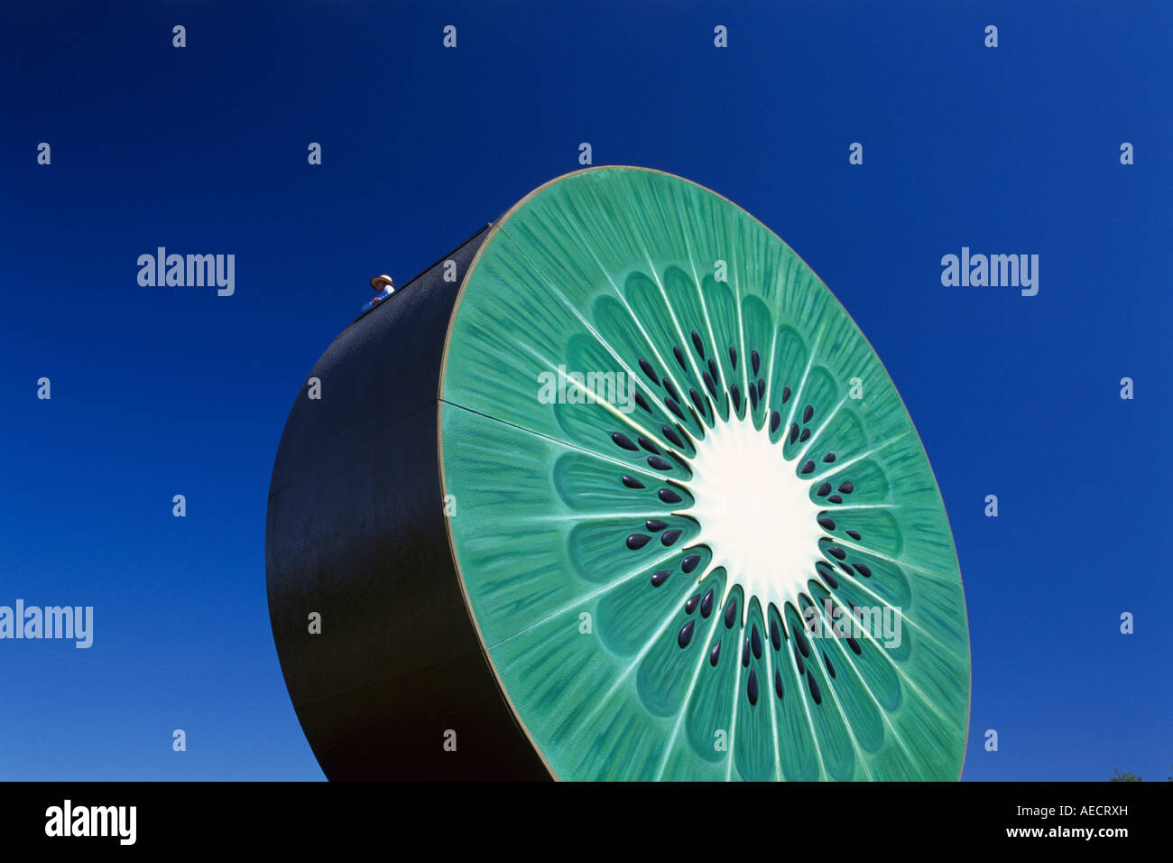 Te Puke, Kiwifruit-Country Sign, Day Stock Photo - Alamy