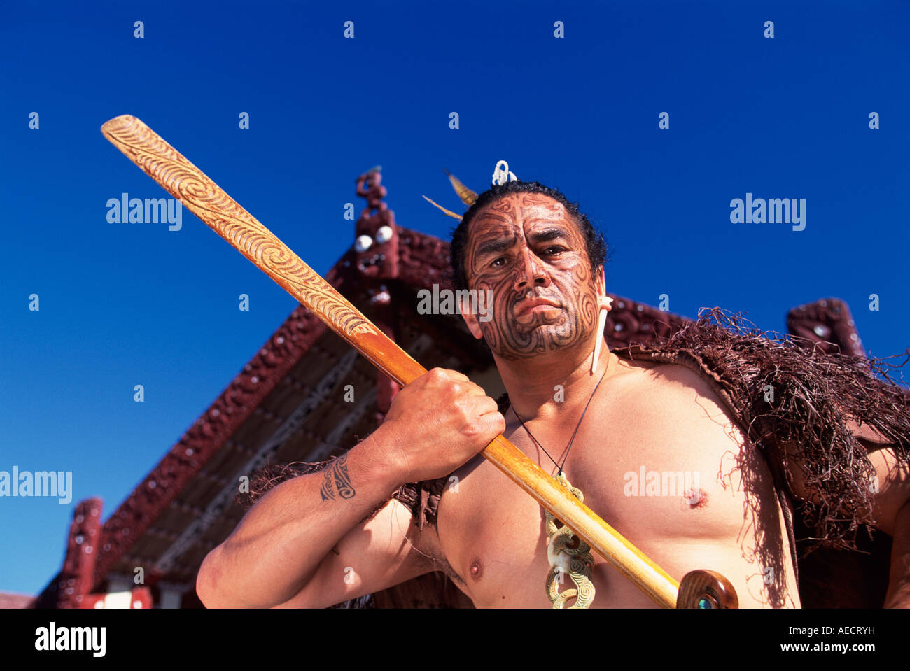 Maori warrior hi-res stock photography and images - Alamy