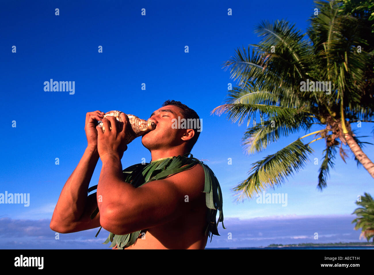 People, Man Sea Shell Blowing, Day Stock Photo - Alamy