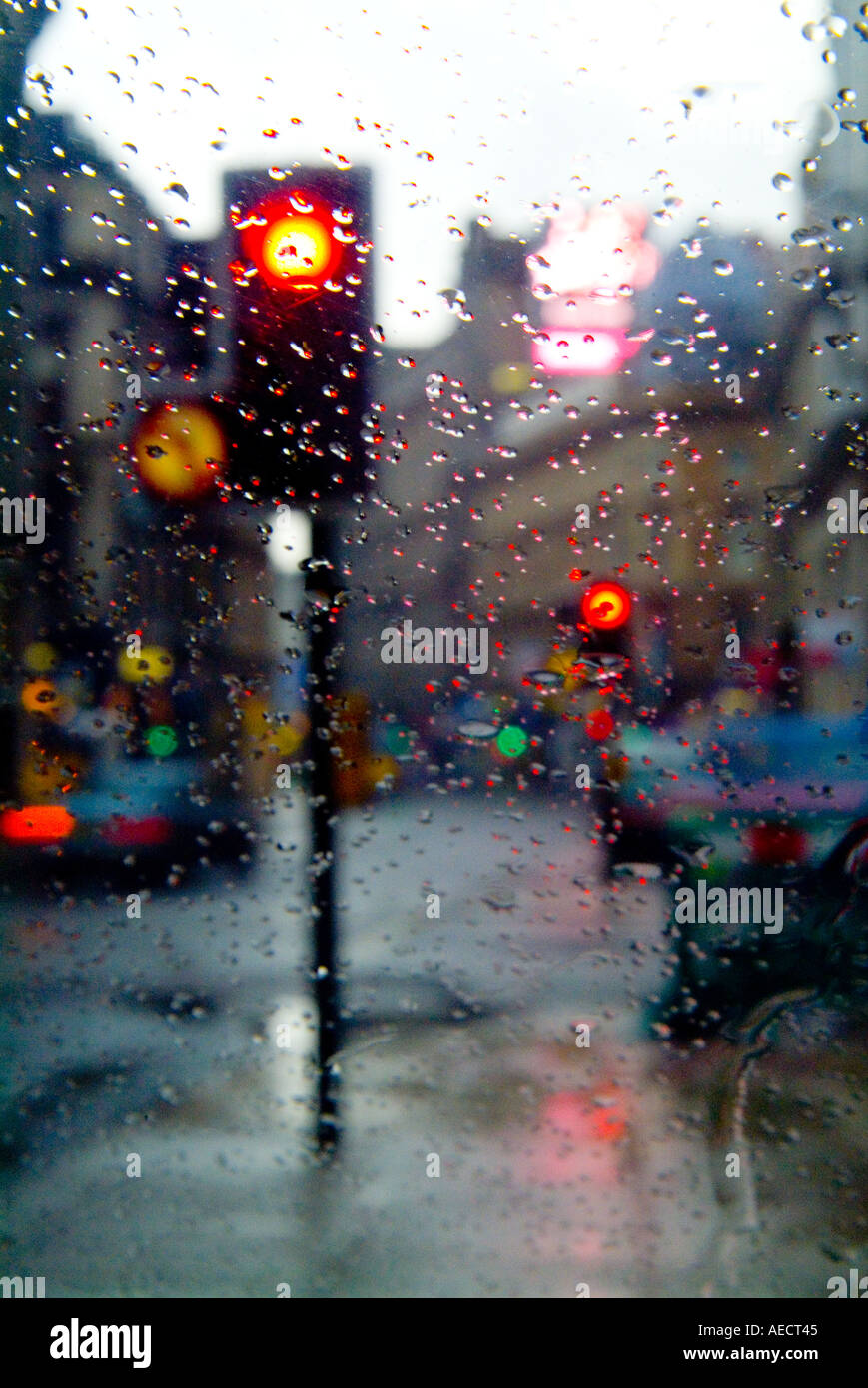 traffic lights in city scene showing red light from inside of car with ...