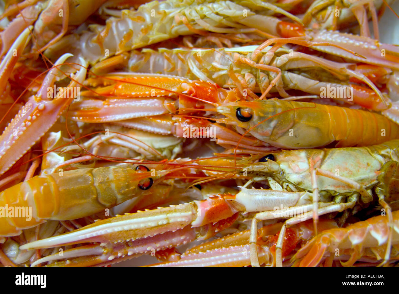 Ready to sell hi-res stock photography and images - Alamy