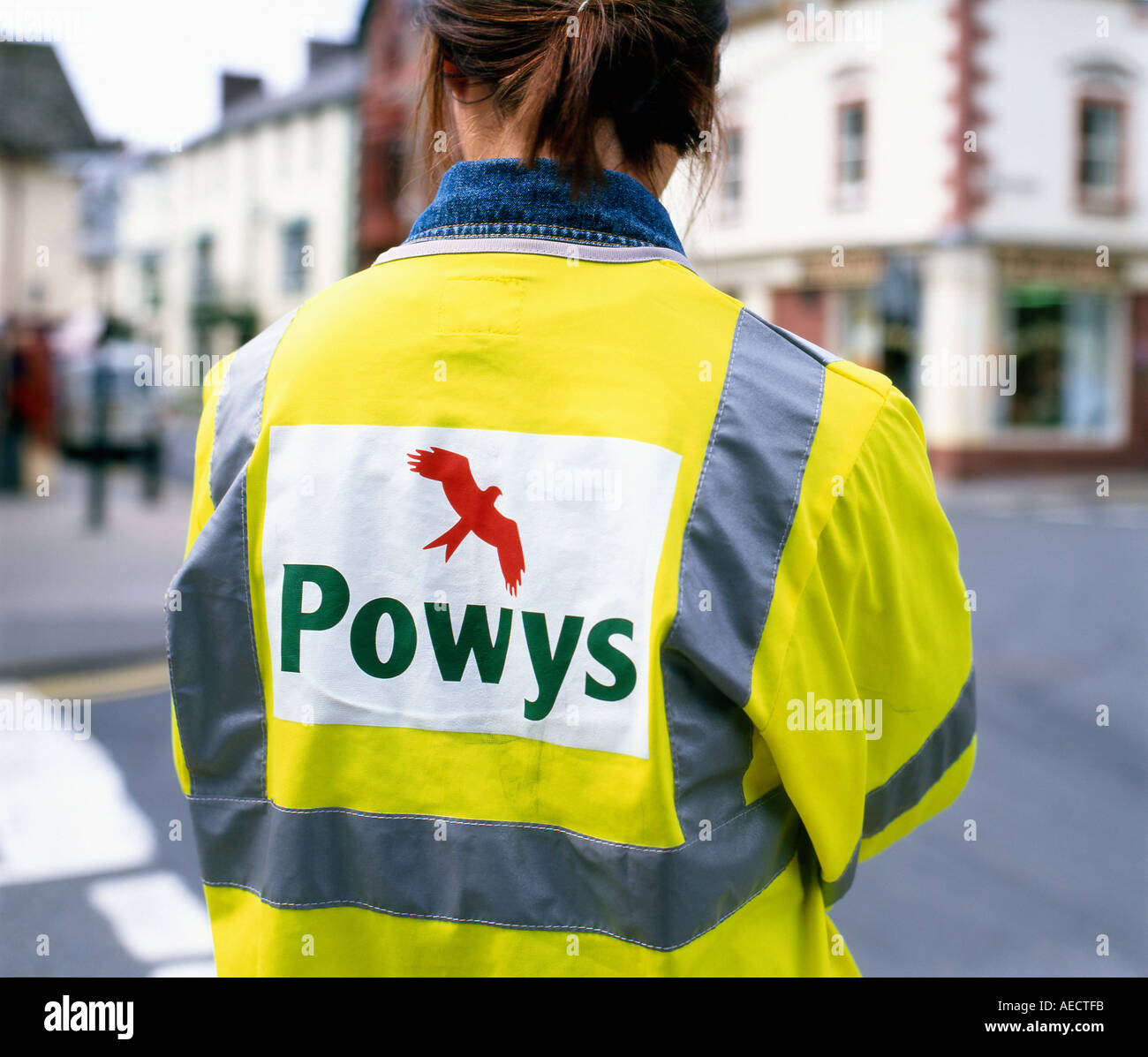 County Council worker wearing yellow jacket with kite logo Rhayader ...