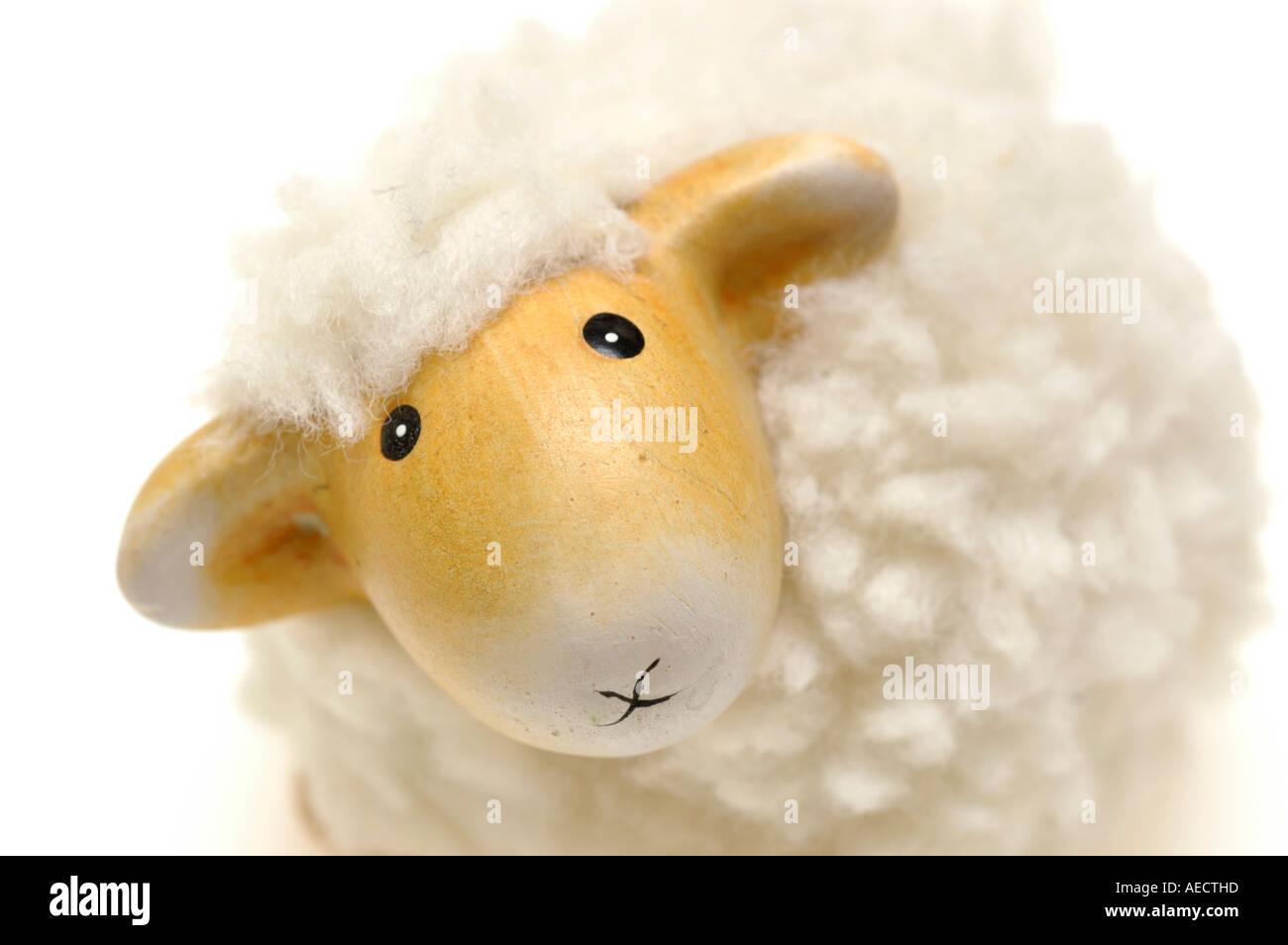 white sheep, pure Stock Photo - Alamy
