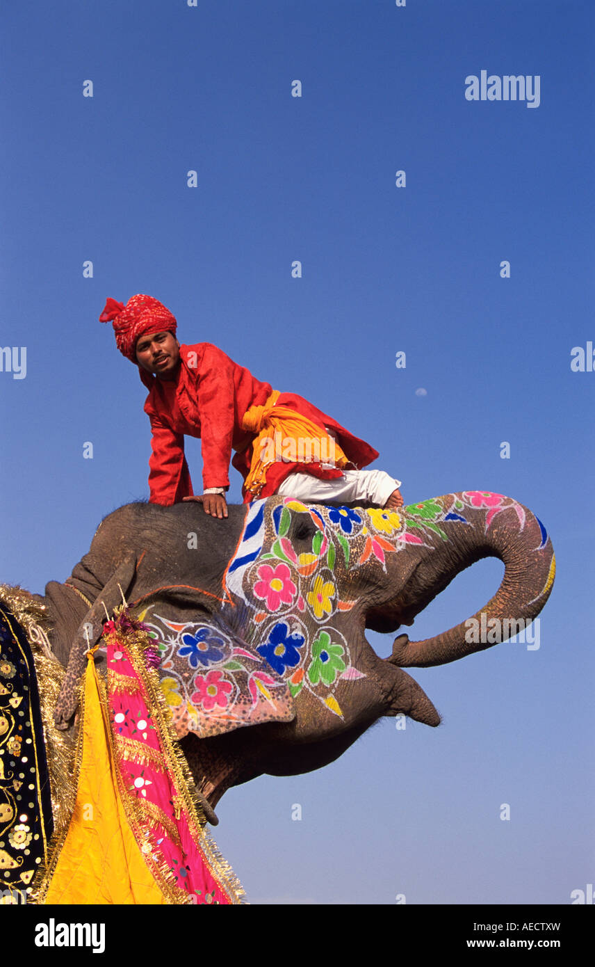 Decorated costume elephant india hi-res stock photography and images ...