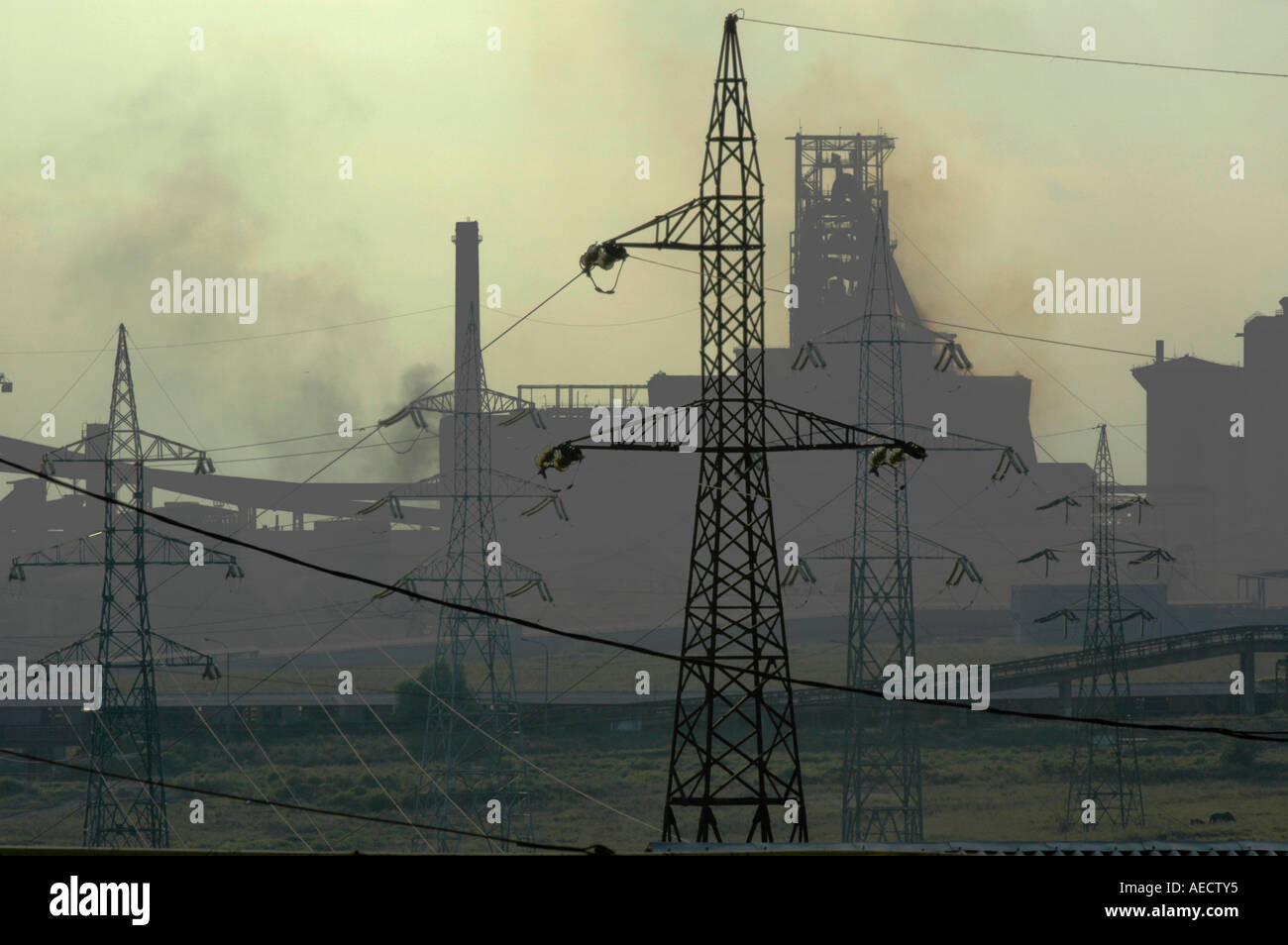 Plant combinat hi-res stock photography and images - Alamy