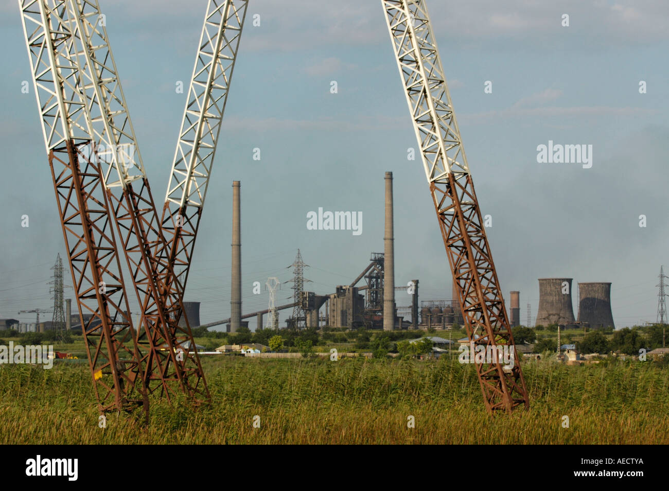 Plant combinat hi-res stock photography and images - Alamy