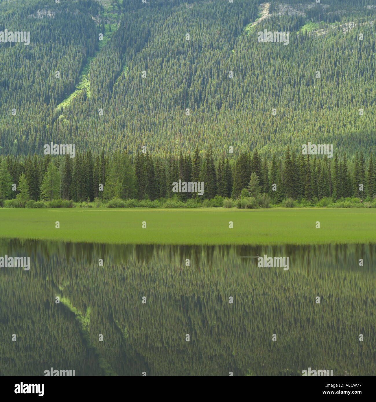 Moose lake provincial park hi-res stock photography and images - Alamy