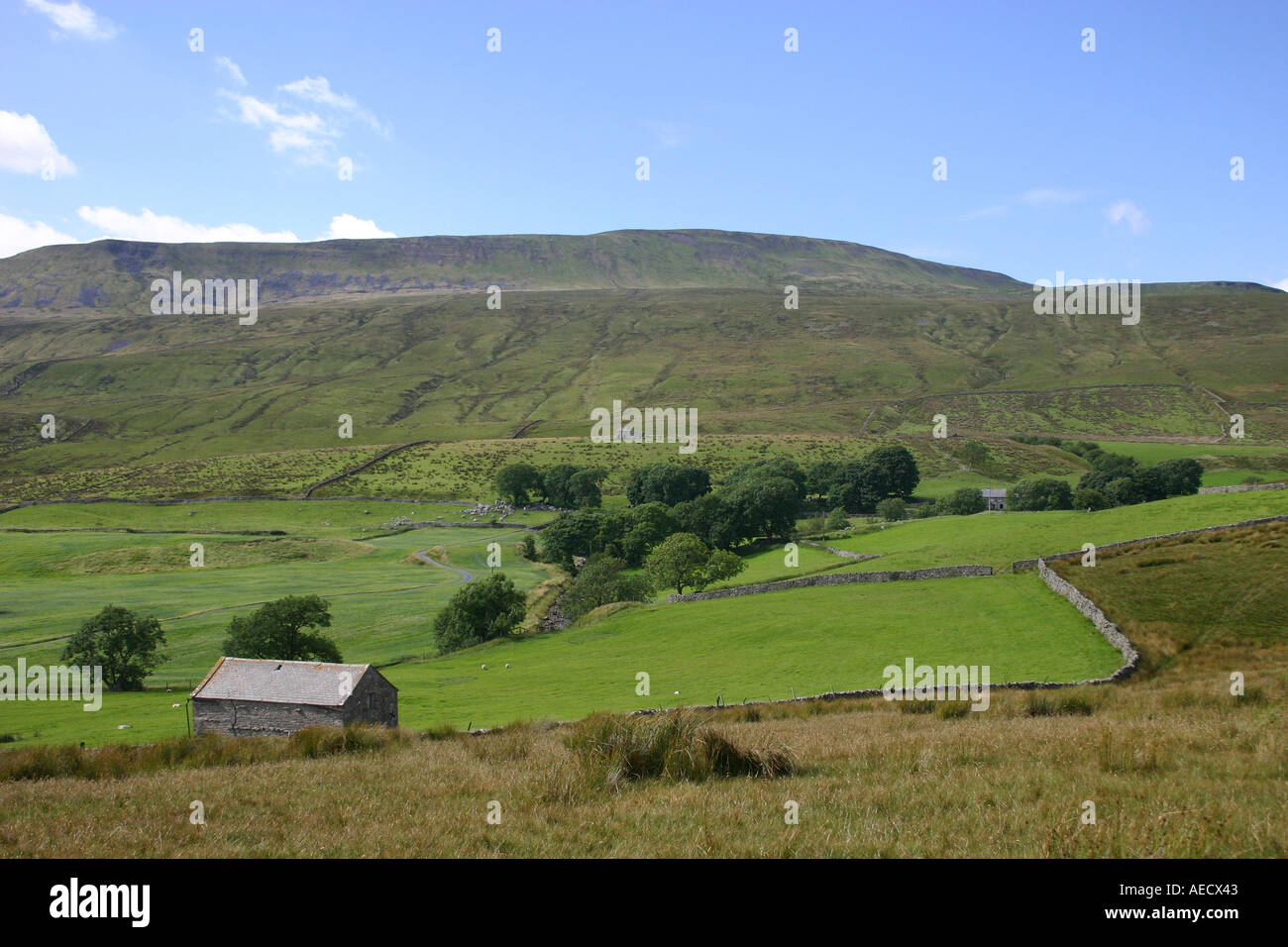 View to Whernside Stock Photo - Alamy
