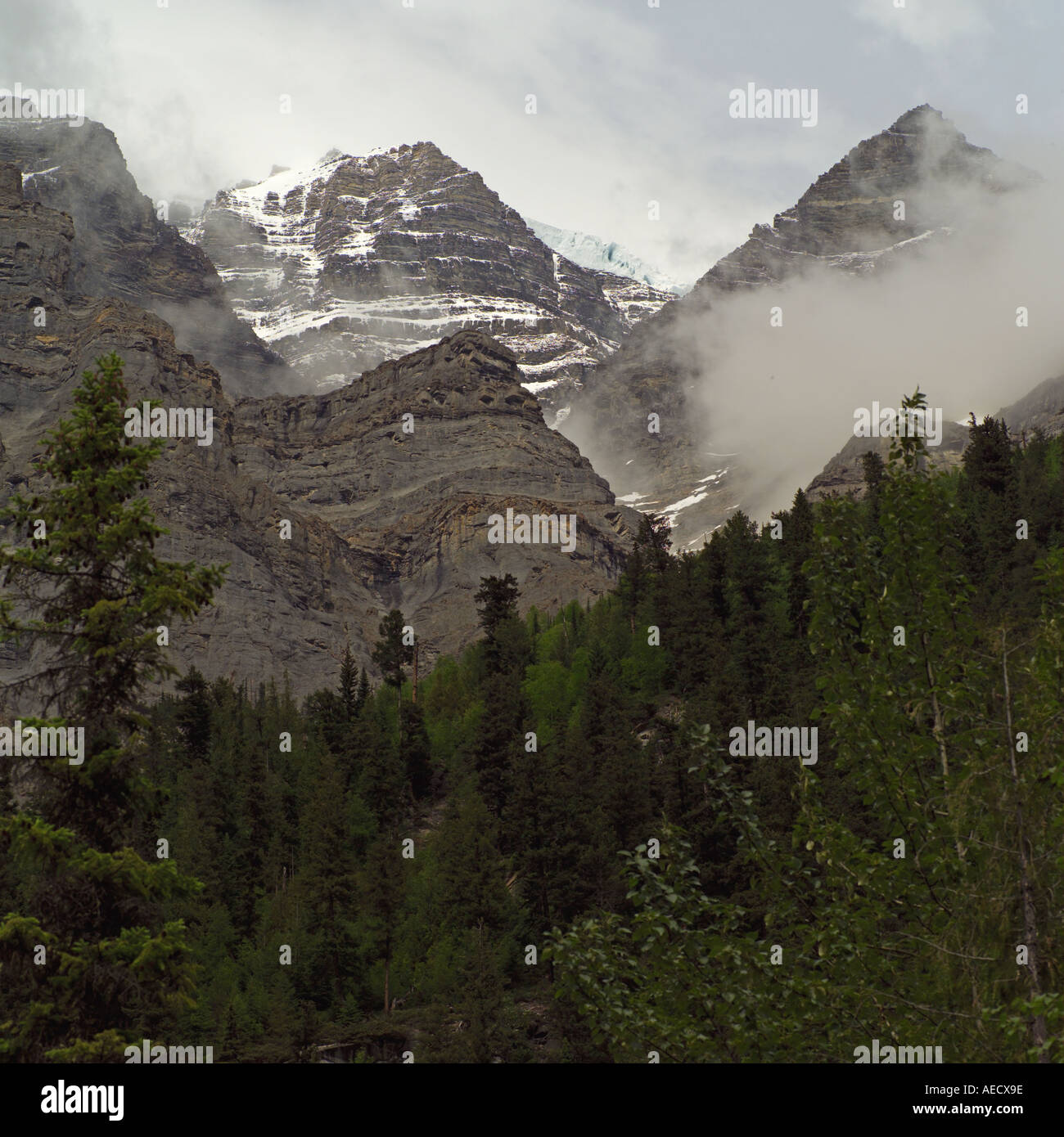 Mt Robson Provincial Park Canada Stock Photo - Alamy