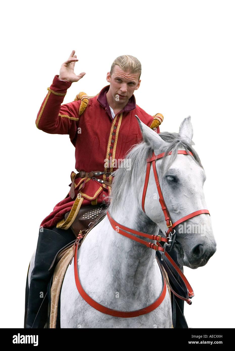 Knight Horse Armour Stock Photos & Knight Horse Armour Stock Images - Alamy