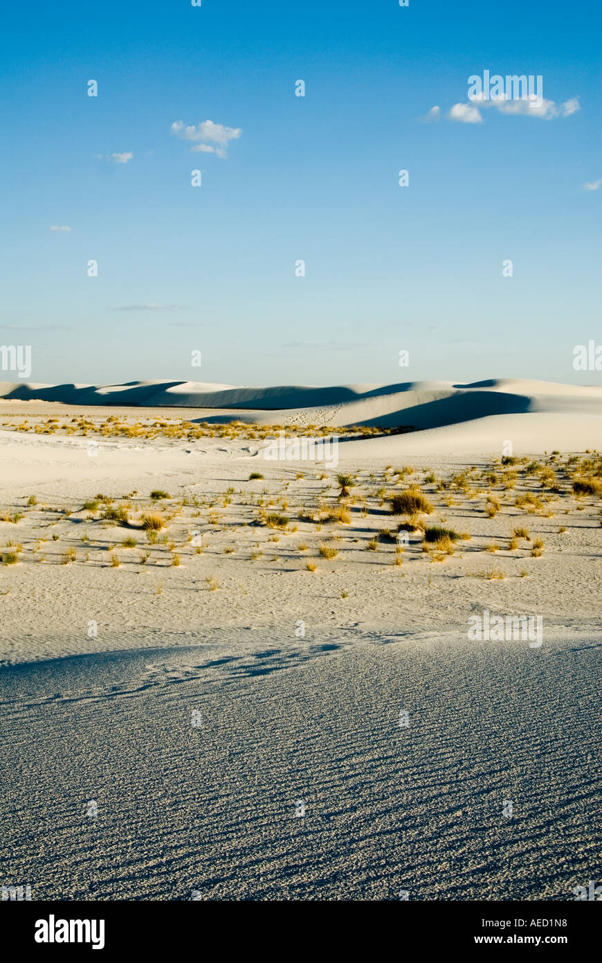 Desert landscape in White Sands National Monument in New Mexico Stock ...
