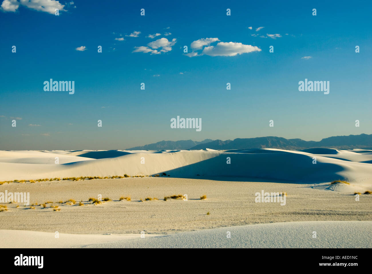 Desert landscape in White Sands National Monument in New Mexico Stock ...