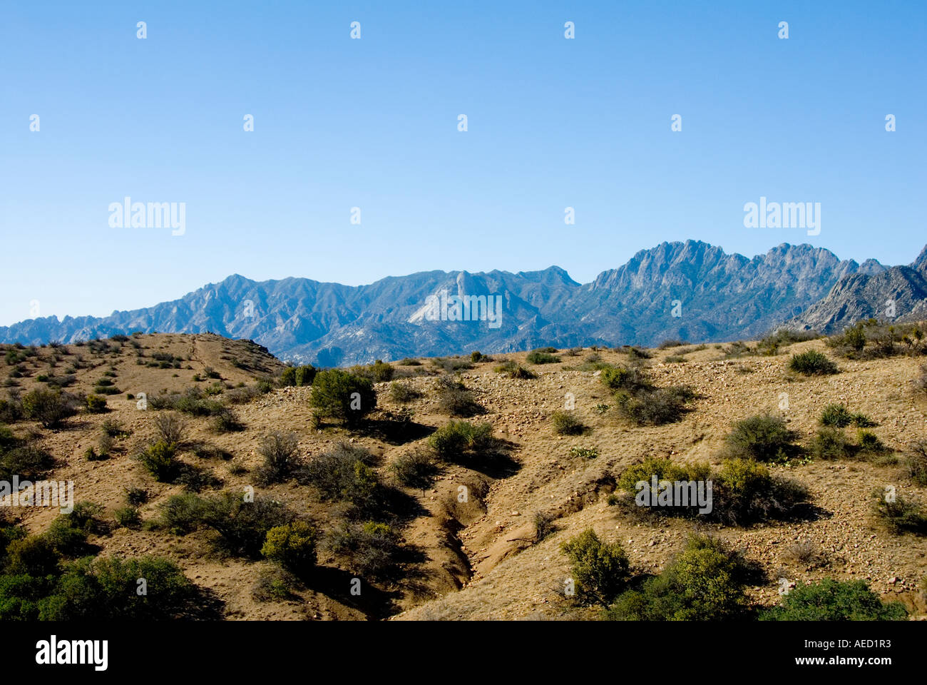 Organ Mountain Range in New Mexico Stock Photo - Alamy