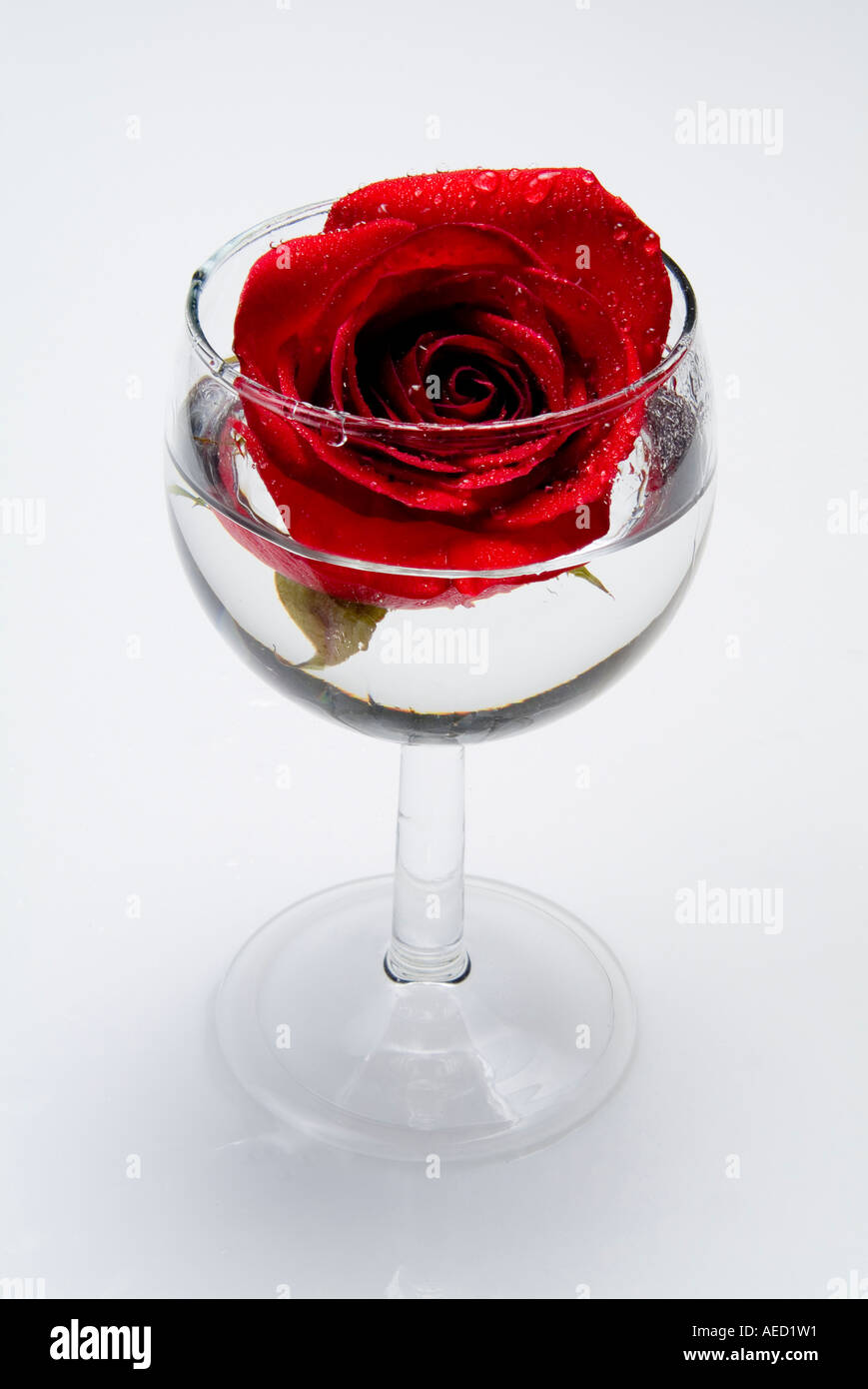 Goblet flowers hi-res stock photography and images - Alamy