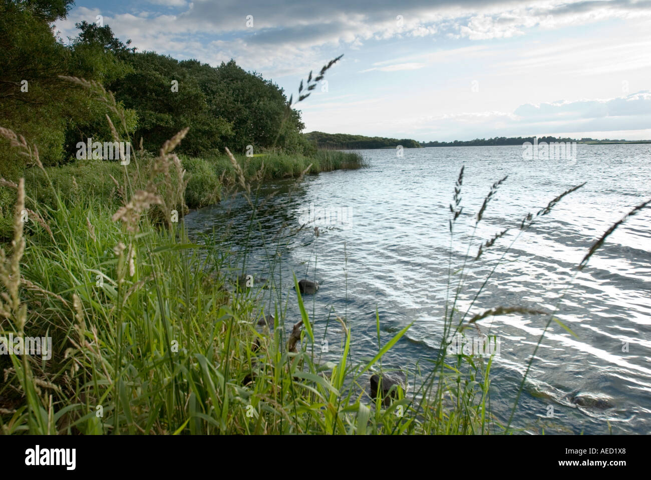 Lough neagh oxford island hi-res stock photography and images - Alamy