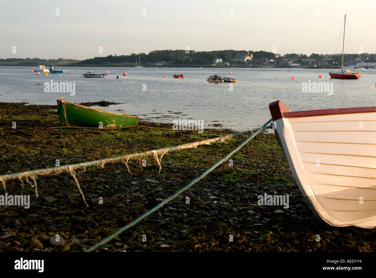 Strangford Lough, Co. Down, Northern Ireland Stock Photo - Alamy