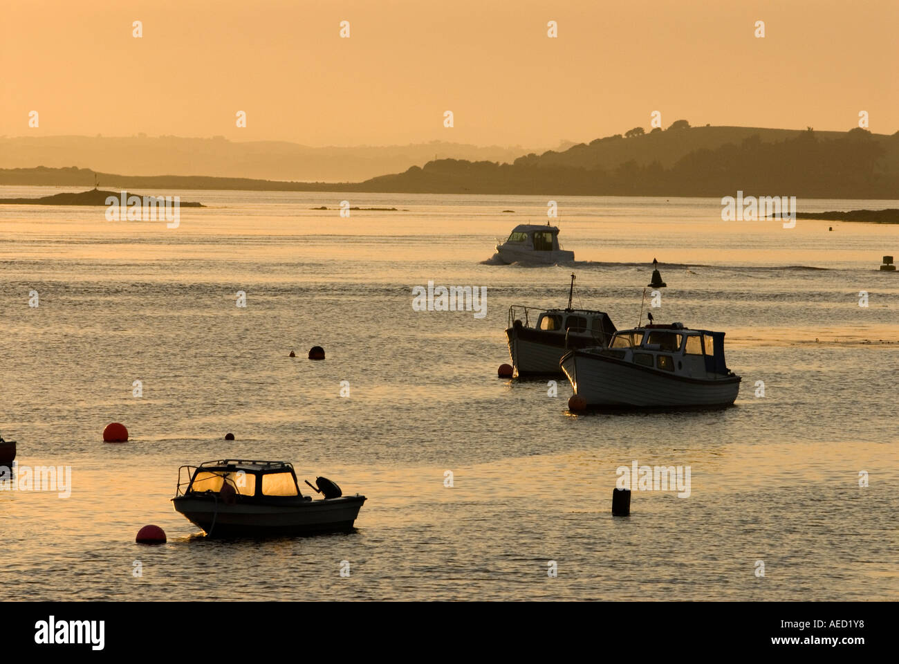 Strangford Lough, Co. Down, Northern Ireland Stock Photo - Alamy