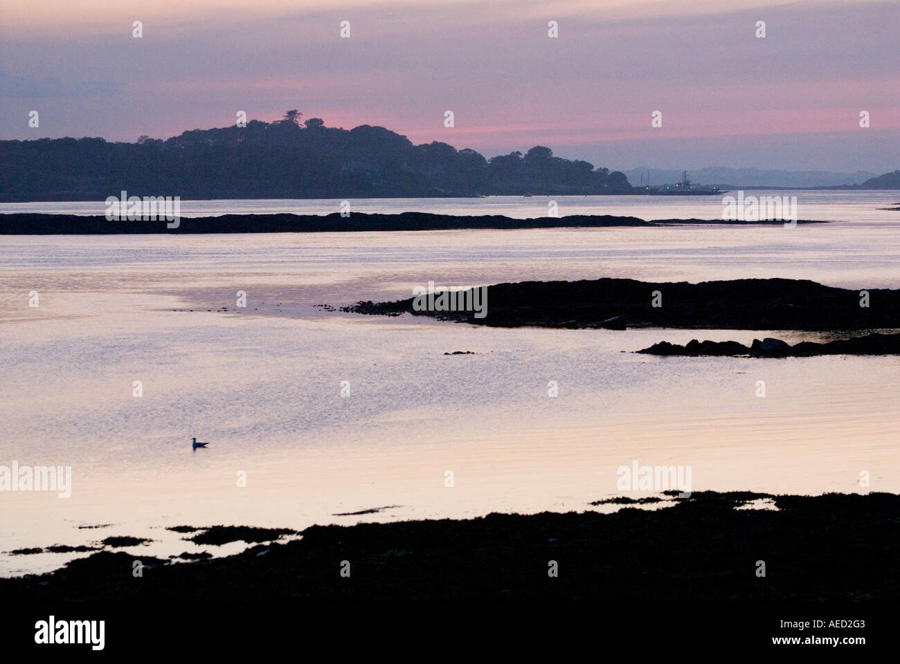 Strangford Lough, Co. Down, Northern Ireland Stock Photo - Alamy