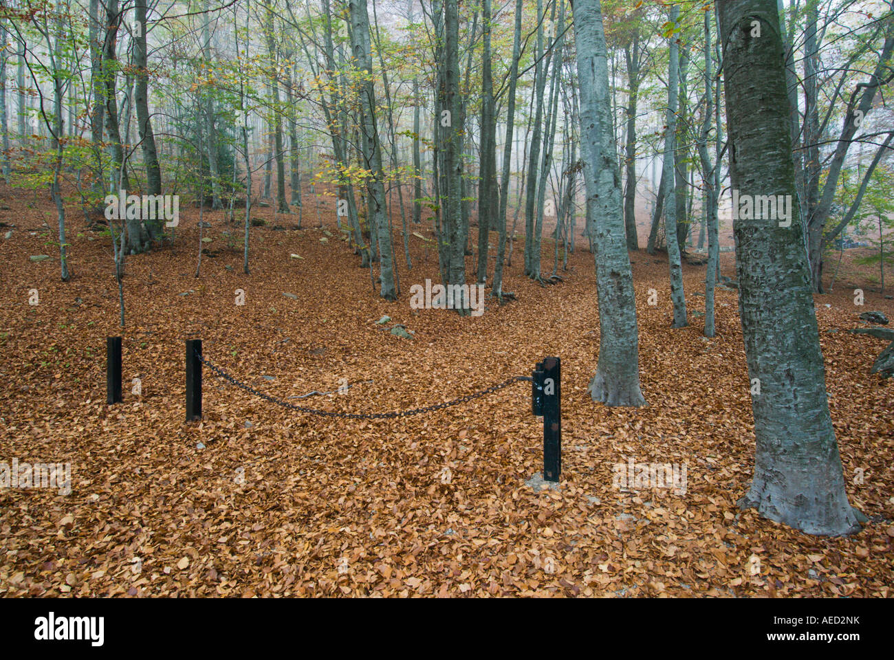 Road montseny spain hi-res stock photography and images - Alamy