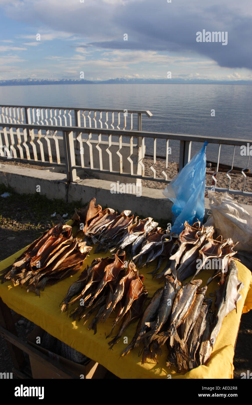 Smoked Omul by Lake Baikal, Siberia, Russia Stock Photo - Alamy