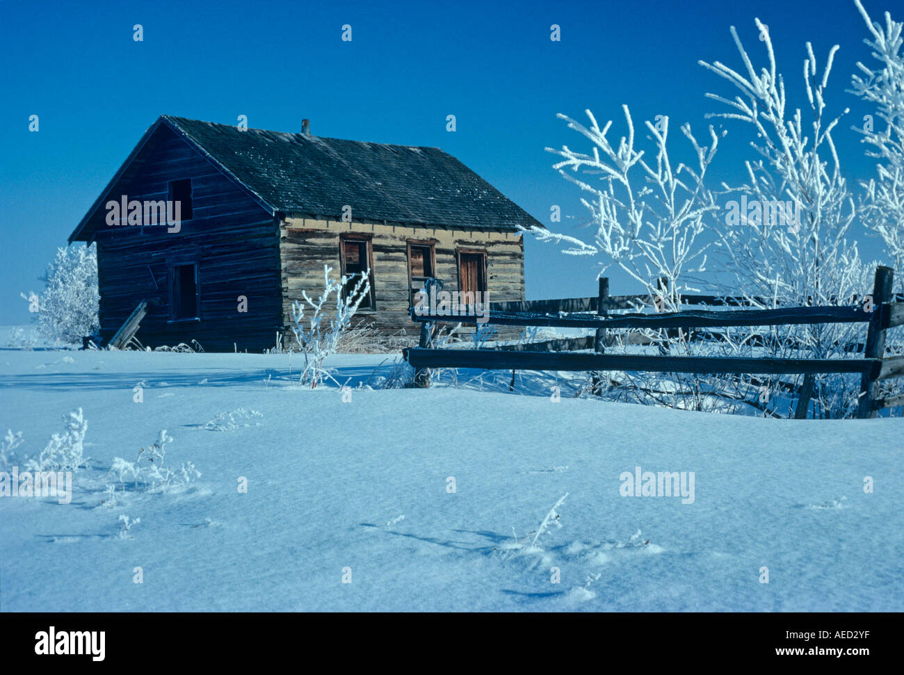 old house near Rycroft Alberta, Canada Stock Photo - Alamy