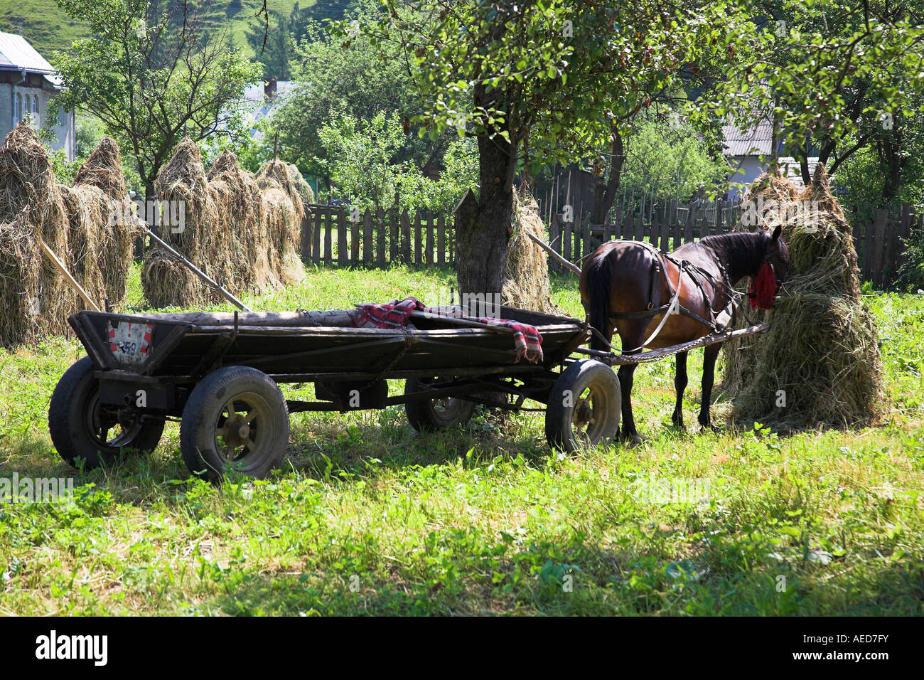 Horse cart farm hay hi-res stock photography and images - Alamy