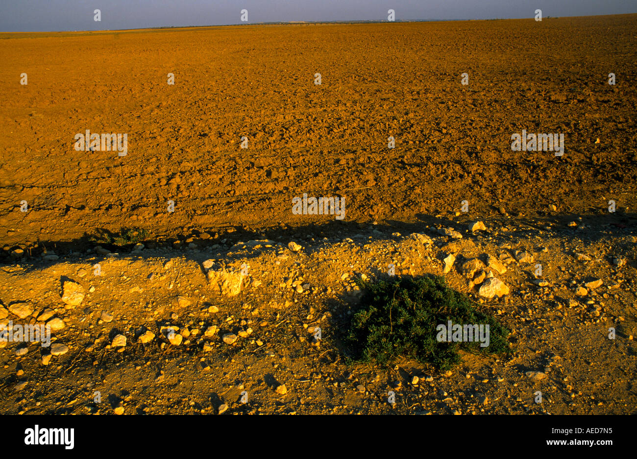 Hergla hi-res stock photography and images - Alamy