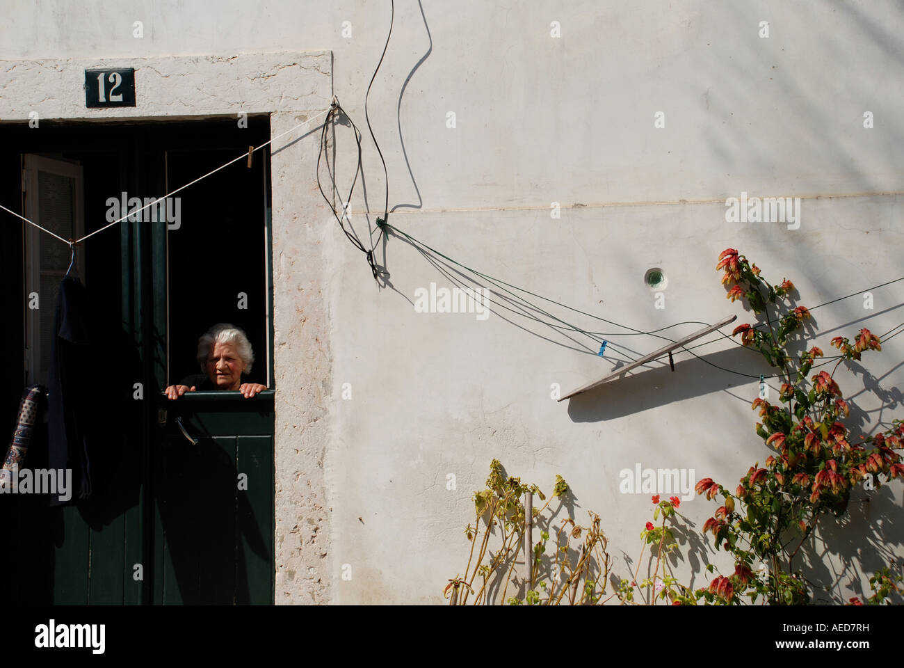 Old lady looking out of window. Lisbon. Portugal Stock Photo - Alamy