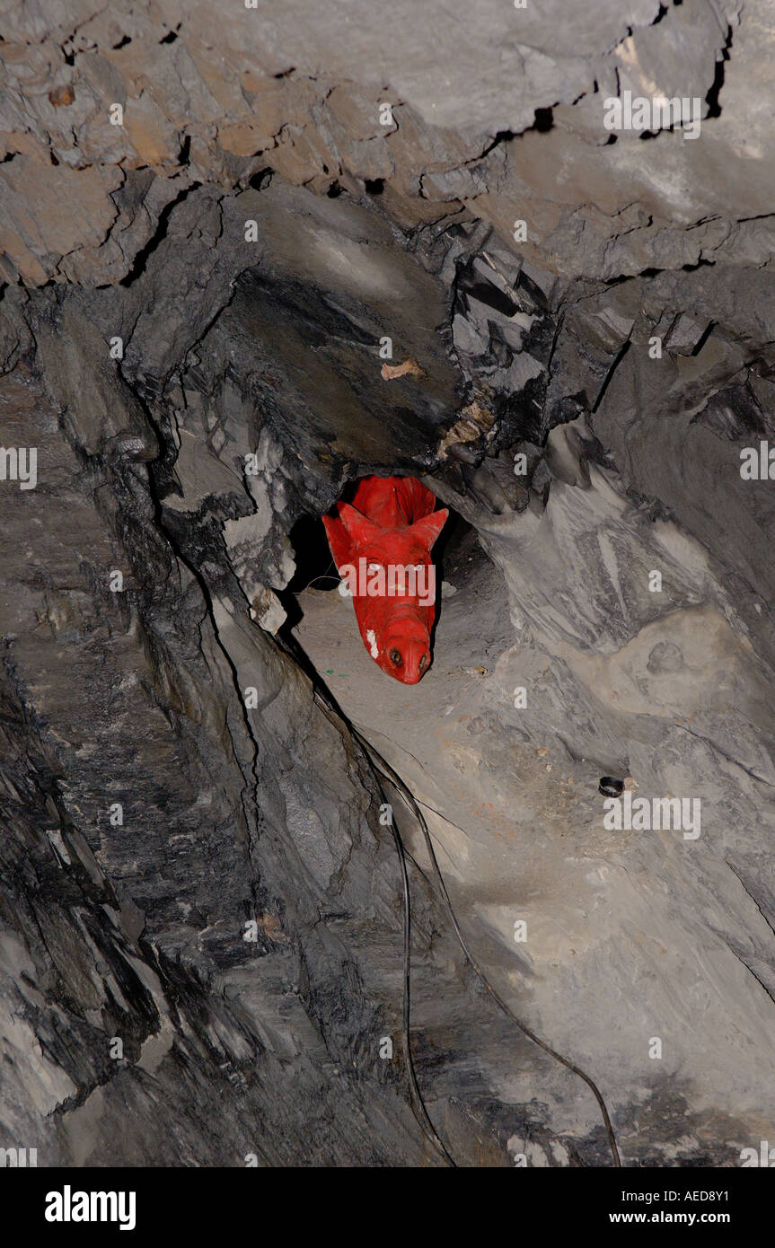 Display King Arthur s Labyrinth Corris Craft Centre North West Wales ...