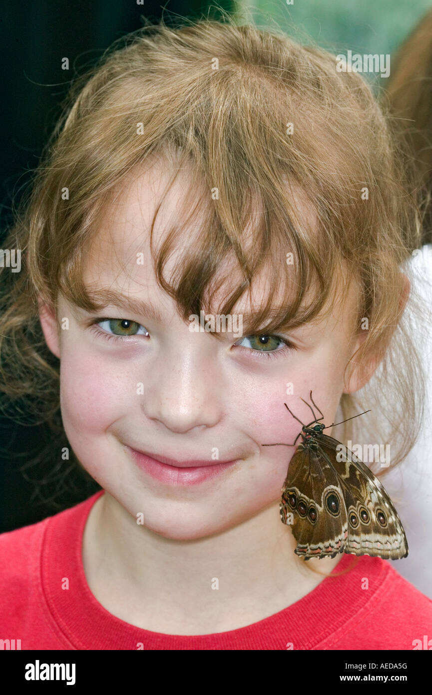 Butterfly face hi-res stock photography and images - Alamy