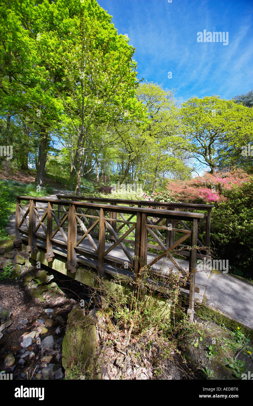 Clyne gardens swansea hi-res stock photography and images - Alamy