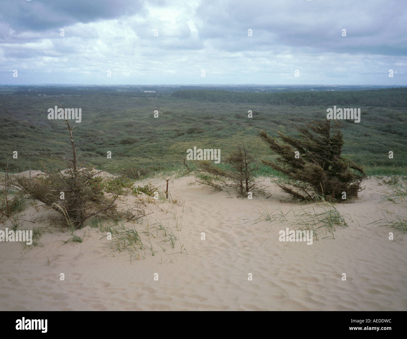 Migrating sand dunes hi-res stock photography and images - Alamy