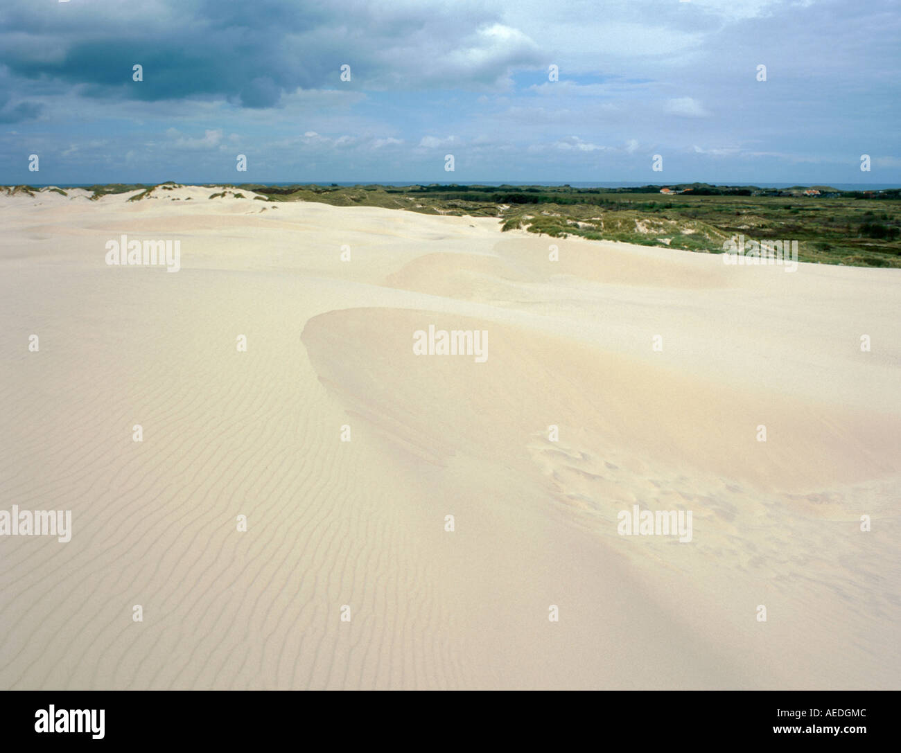Barchan type sand dune, Råbjerg Mile, Vendsyssel, north Jylland ...